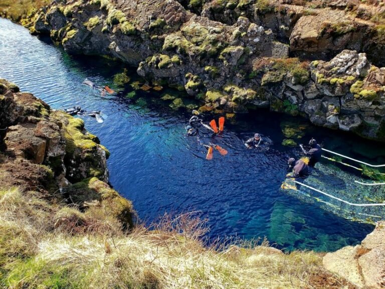 Silfra Fissure Snorkeling Tour in Iceland | Best Prices 2026